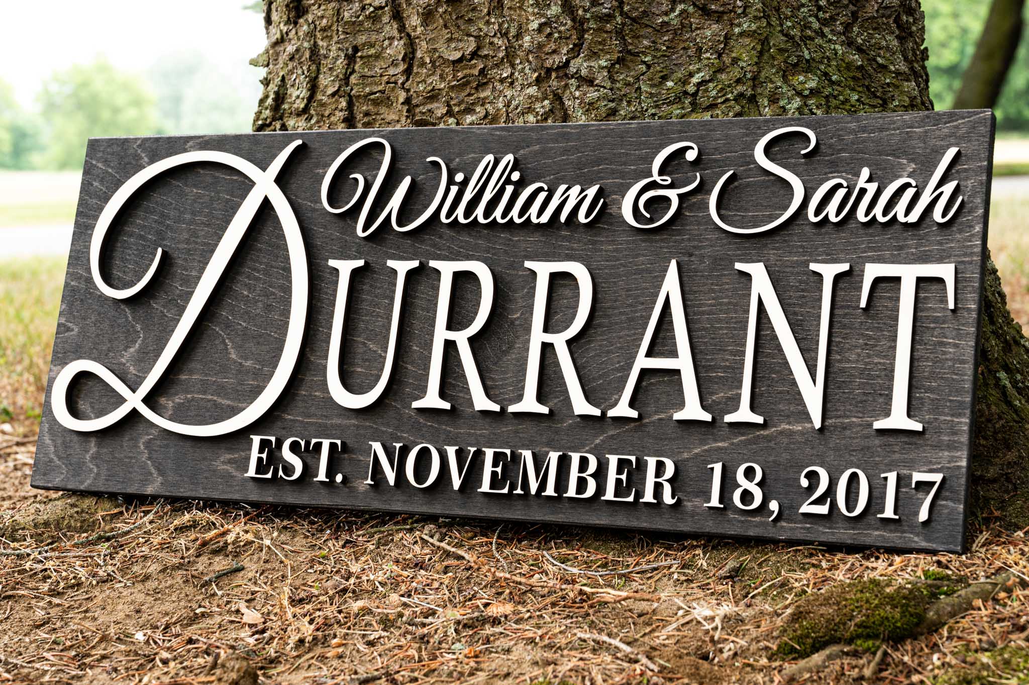 Last Name Sign | Wood Wall Art | Family Name Sign | Established Sign ...