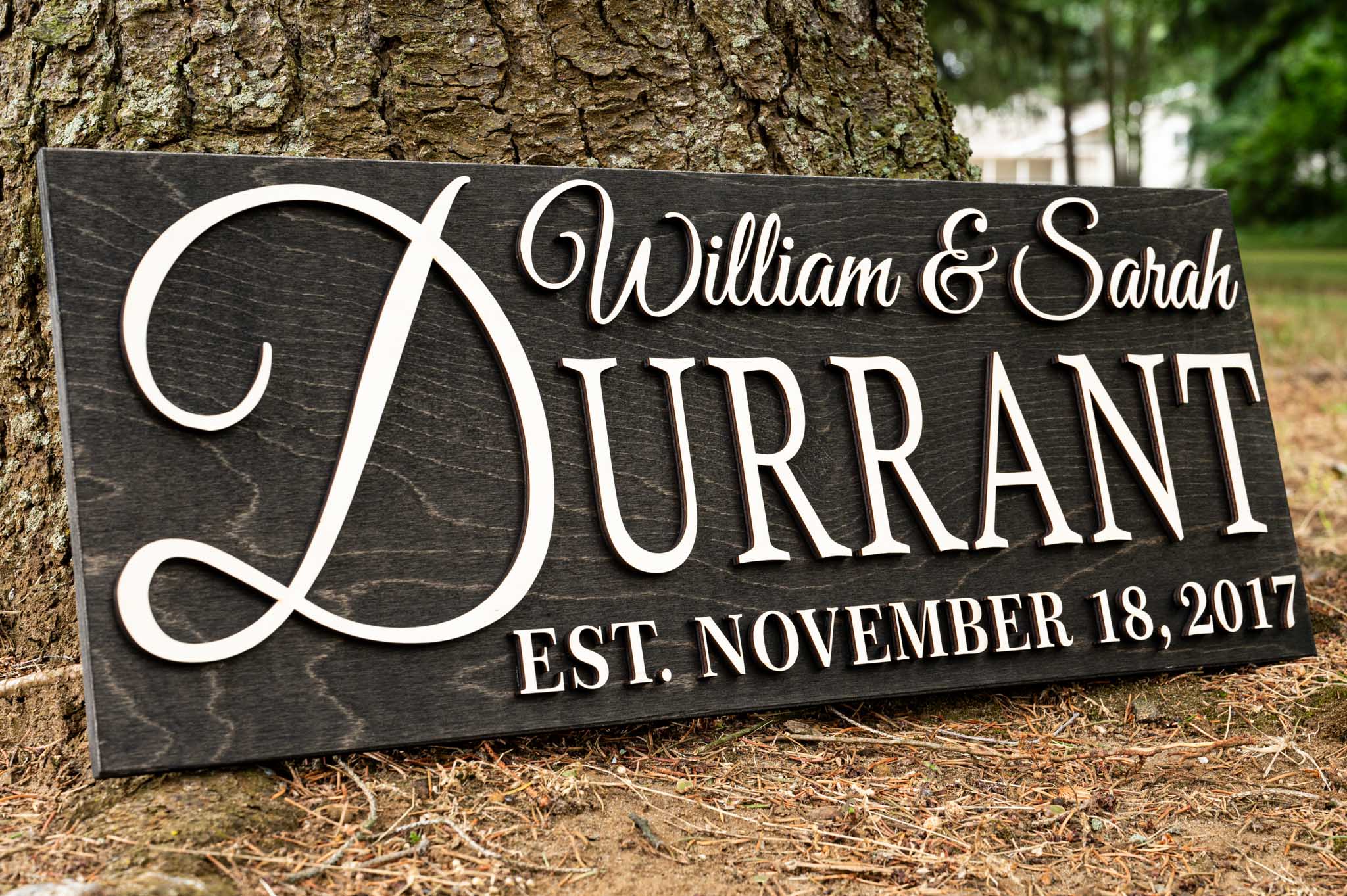 Last Name Sign | Wood Wall Art | Family Name Sign | Established Sign ...